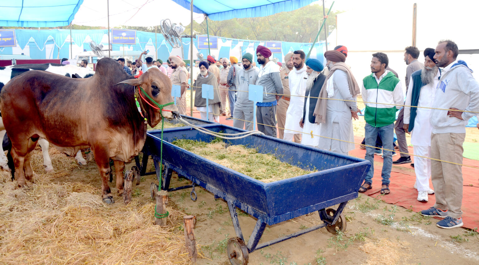 Vet Varsity to Organize Pashu Palan Mela – AgriBot | News, Articles and ...