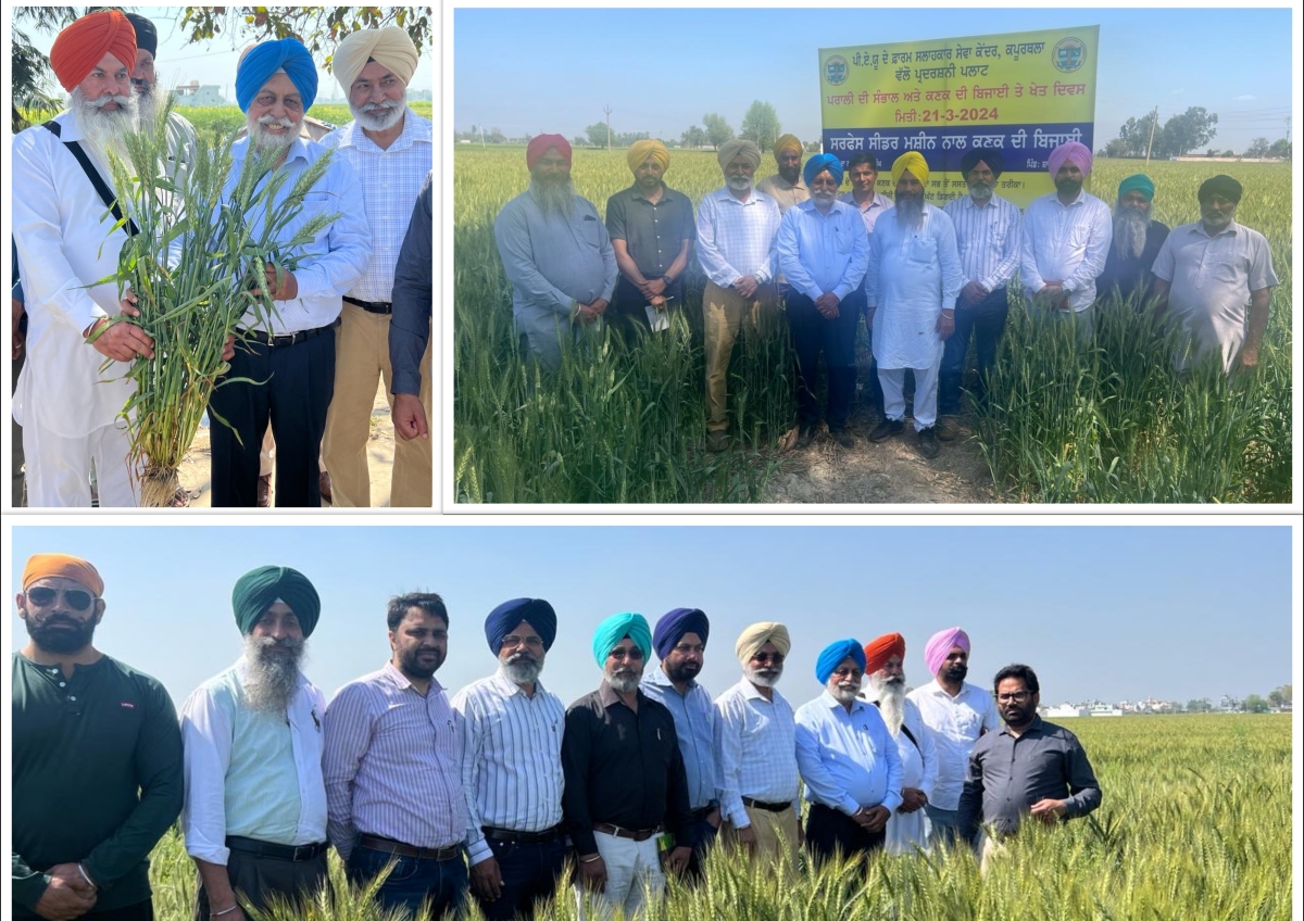 PAU’S Surface Seeder Technique – A Boon for Rice Straw Management ...